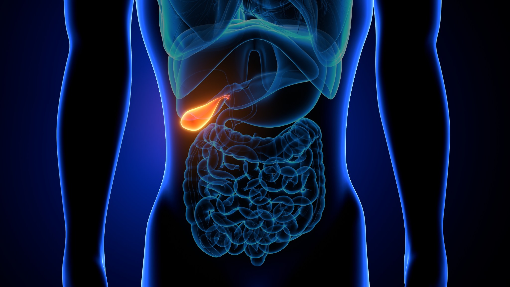 Ox Bile Benefits: 6 Reasons You May Need It | Dr. Berg
