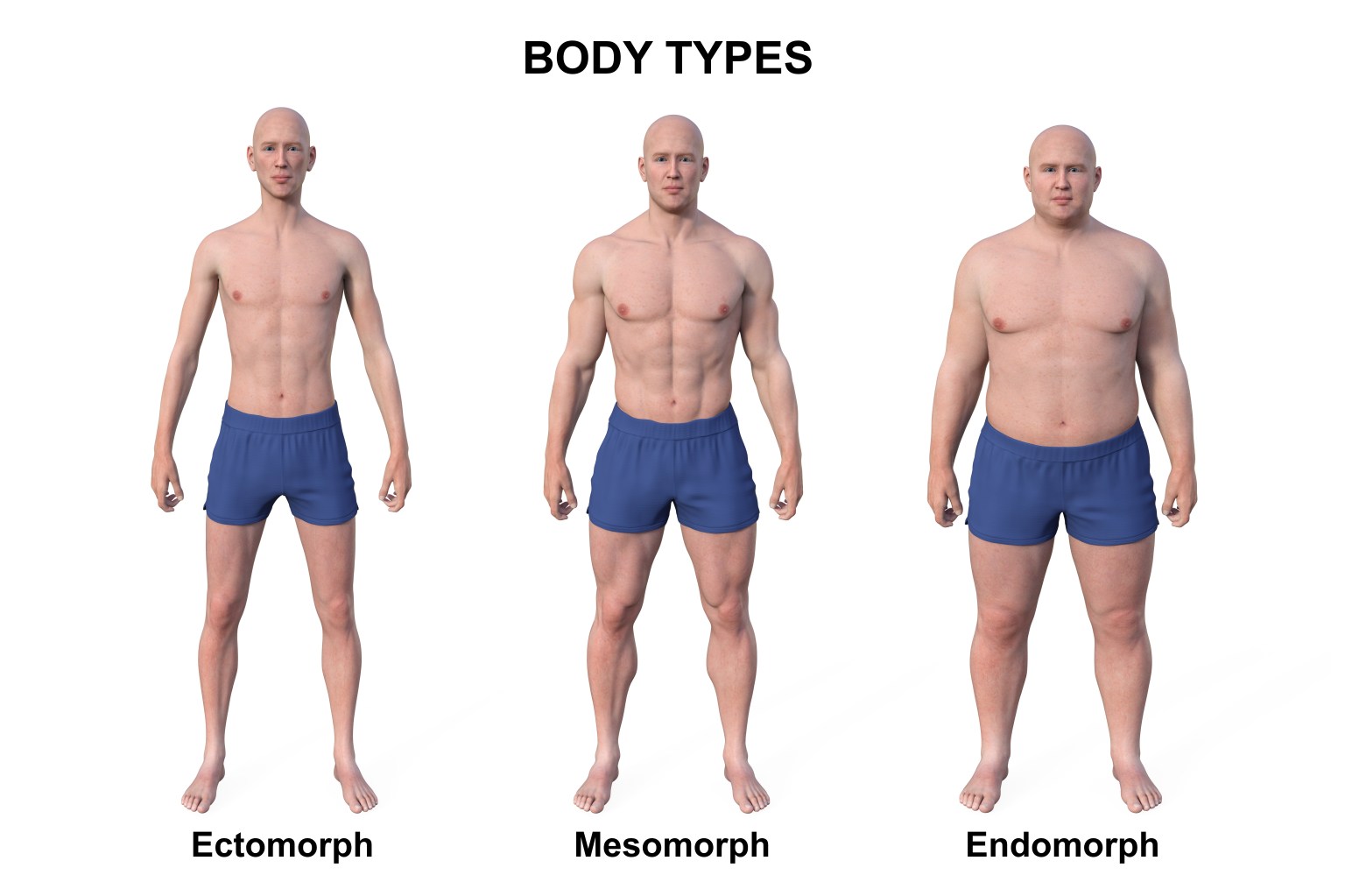 Different Body Types Guide to 5 Hormonal Types | Dr. Berg