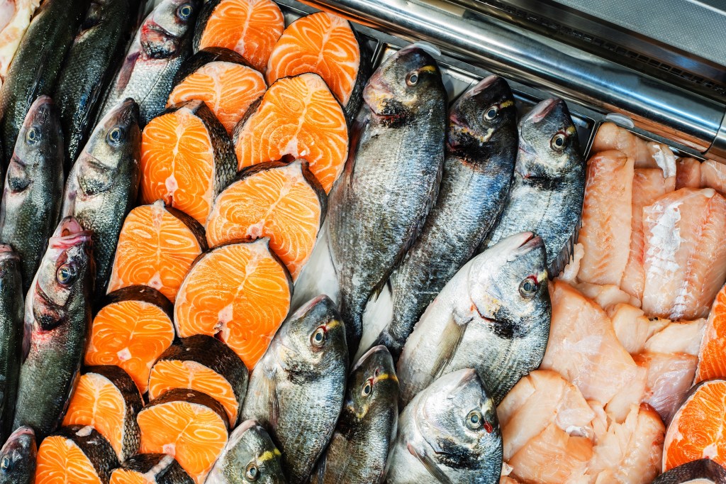 Cod vs Salmon: Surprising Differences Revealed | Dr. Berg