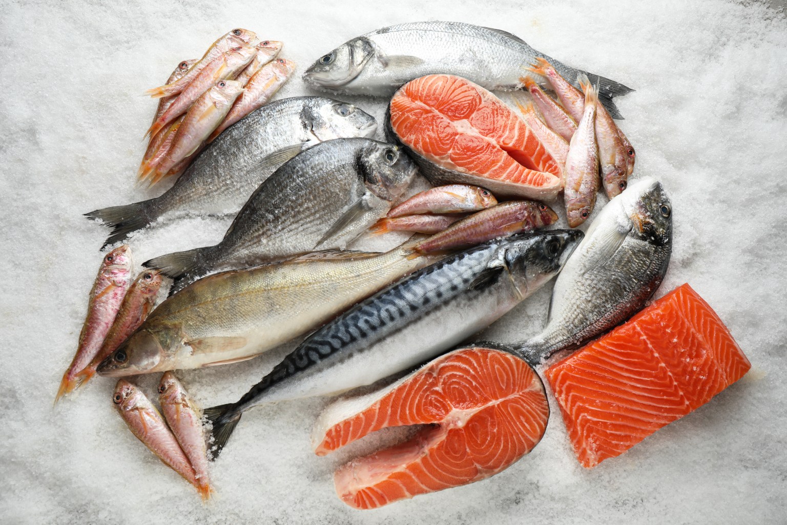 Fish Without Mercury List: Safe Picks to Eat | Dr. Berg