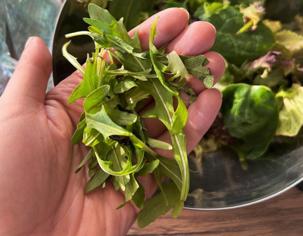 Benefits of Arugula That Transform Your Health | Dr. Berg