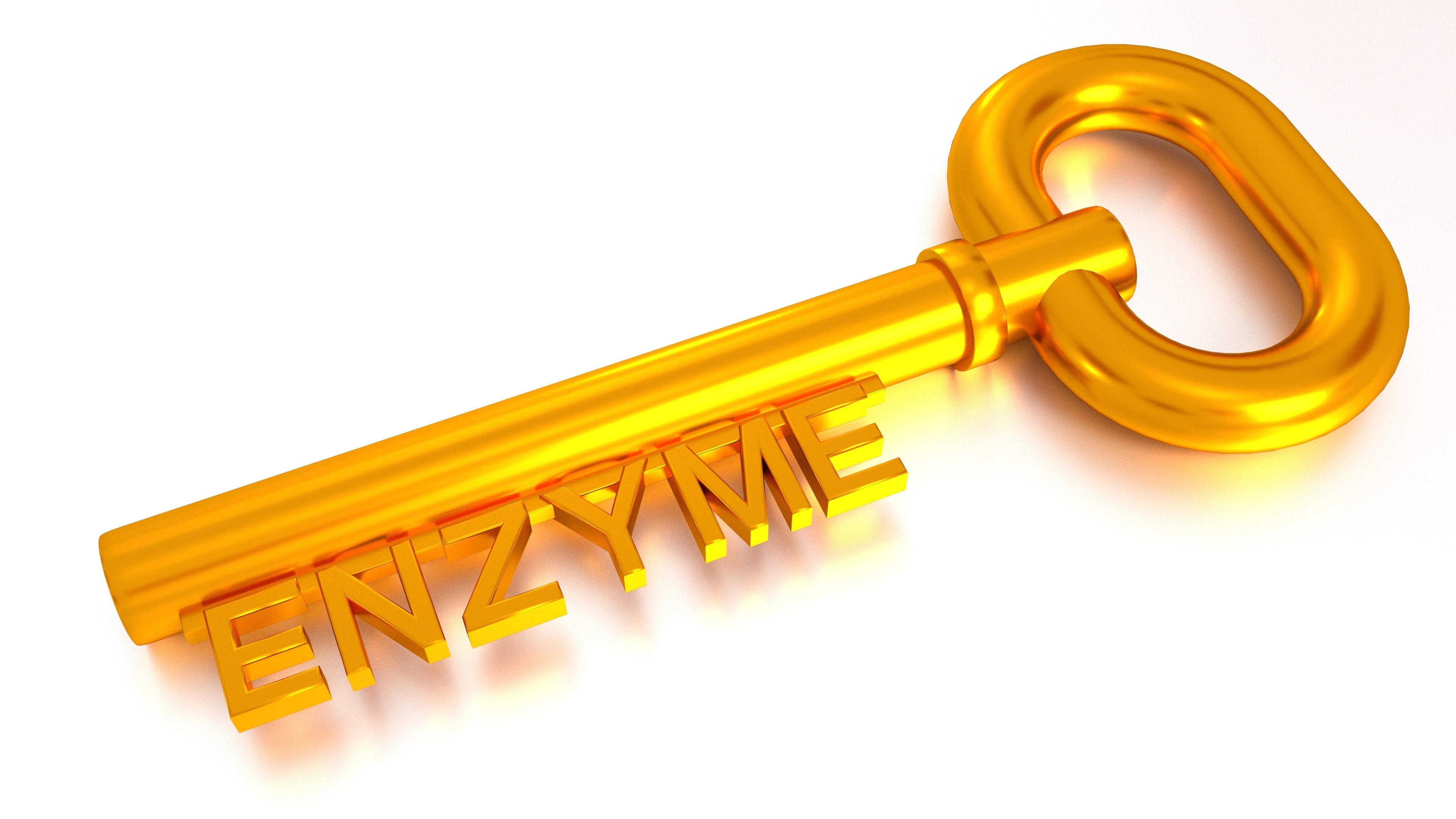 Digestive Enzymes: Everything You Should Know | Dr. Berg